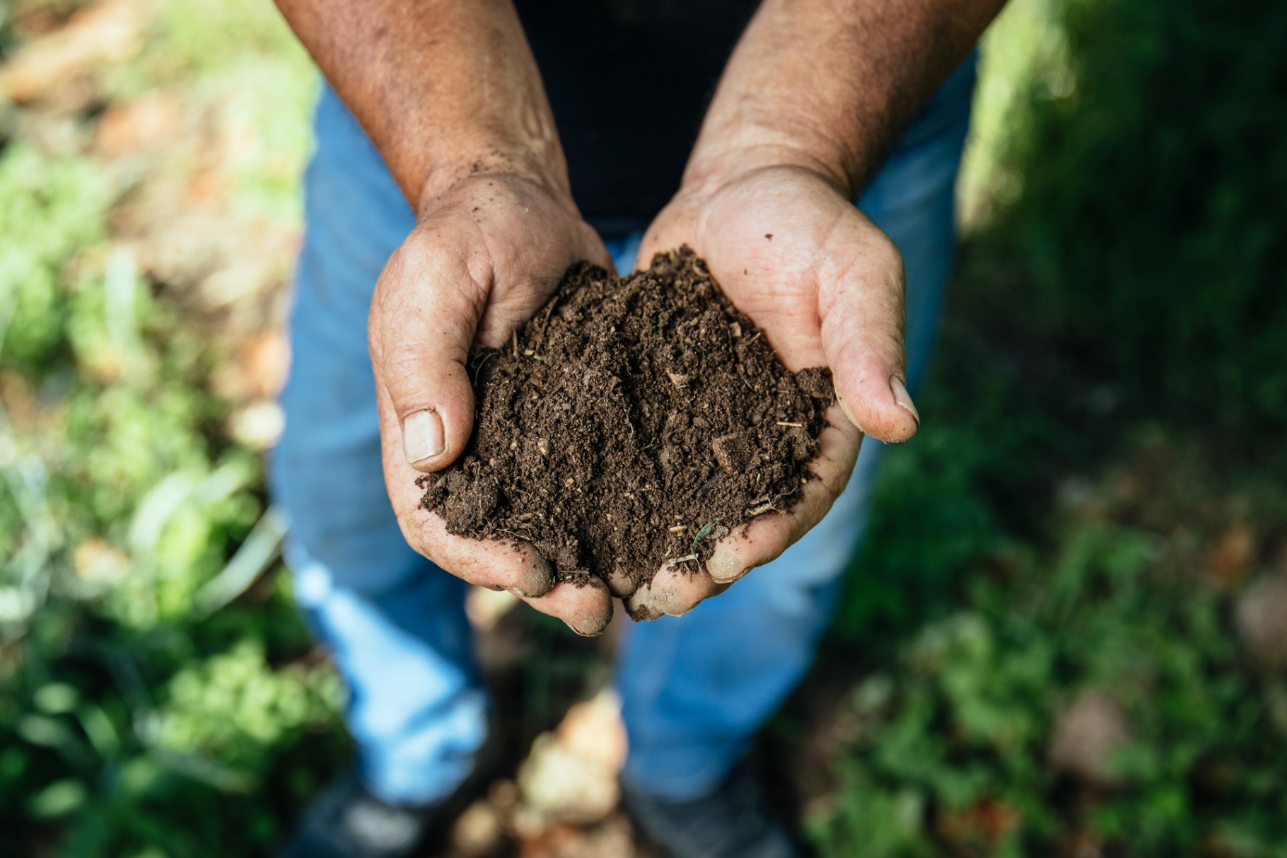Circular economy in South Tyrol