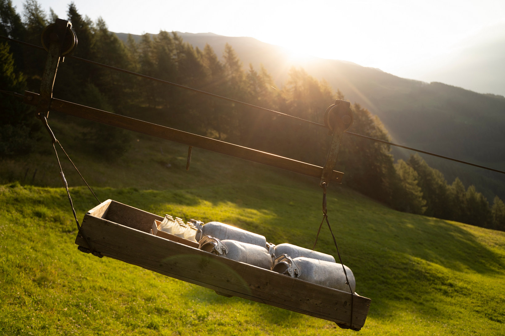 Südtiroler Milchprodukte: Köstliche Joghurt- und Käsevielfalt aus den Alpen