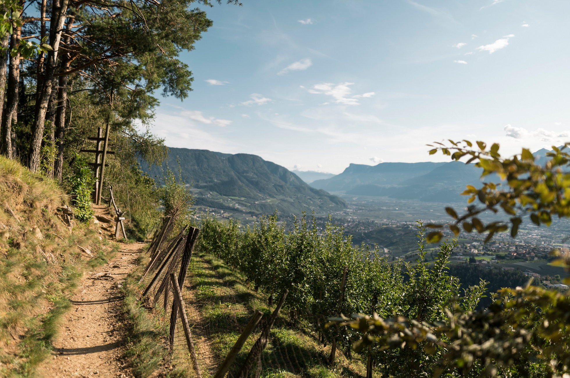 ⛰️Waalwege in Südtirol: Am Wasser entlang spazieren