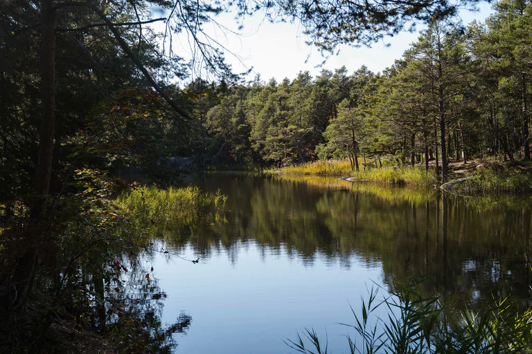 Vakantie in Bolzano/Bozen en omgeving - de officiële reisgids