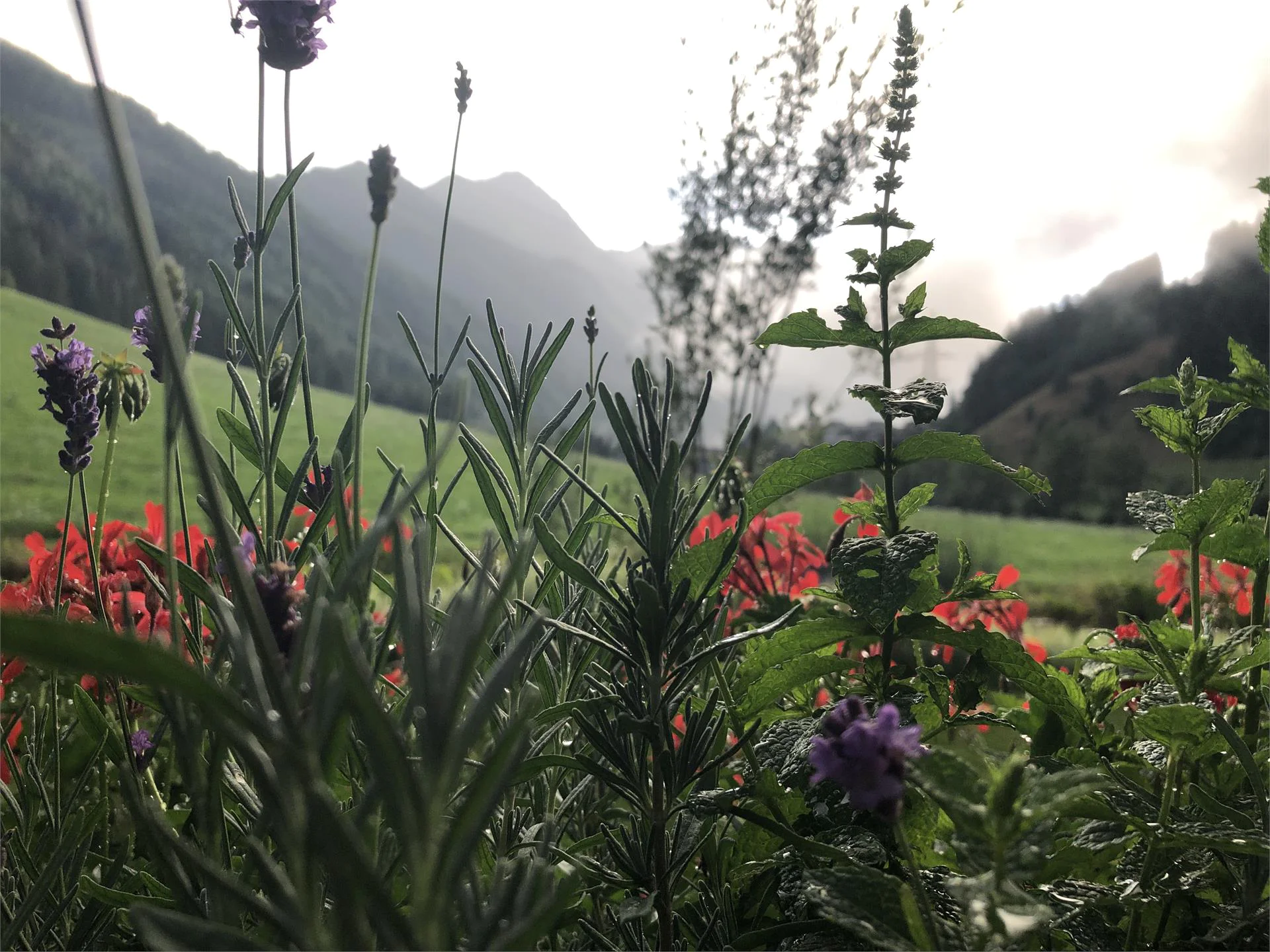 Bar Pizzeria Restaurant Meggima am See, Mühlwald - Reserviere deinen ...